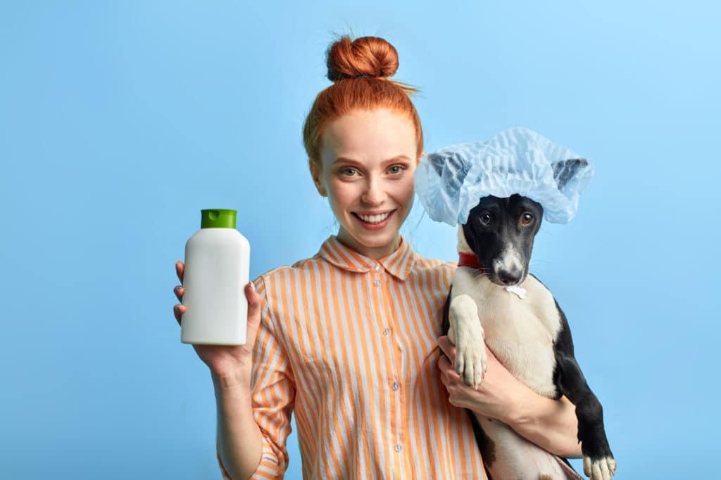 Treating Pets like Family Causes Sales of Pet Health & Wellness ...